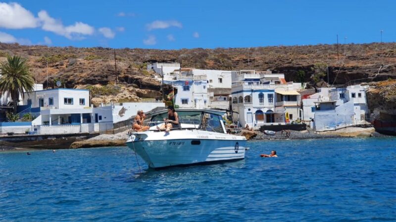 Tenerife: South Island Boat-Trip and Sea Excursion - Key Points