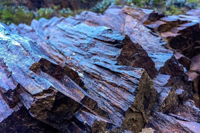 Tenerife South Private Tour: Secrets of the Volcanoes - Pickup and Drop-off Arrangements