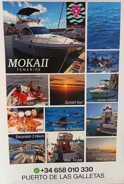 Tenerife south: safari with luxury boat , animals encounters - What Is Included and What’s Not