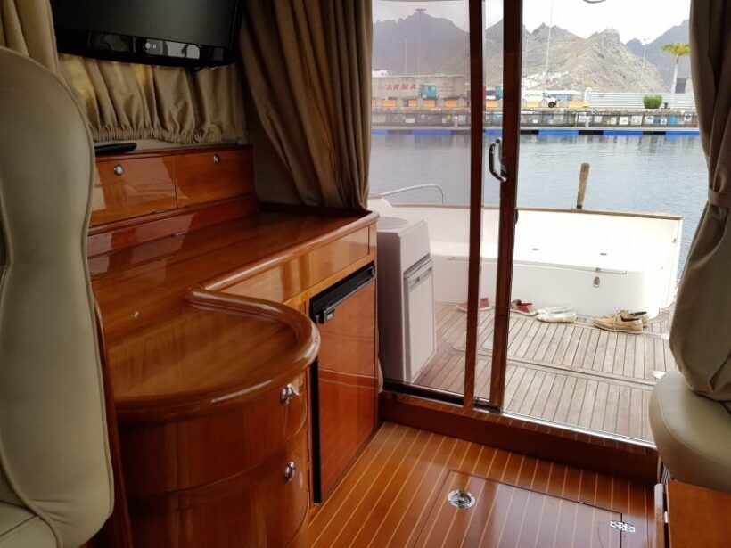 Tenerife south: safari with luxury boat , animals encounters - The Experience and Atmosphere