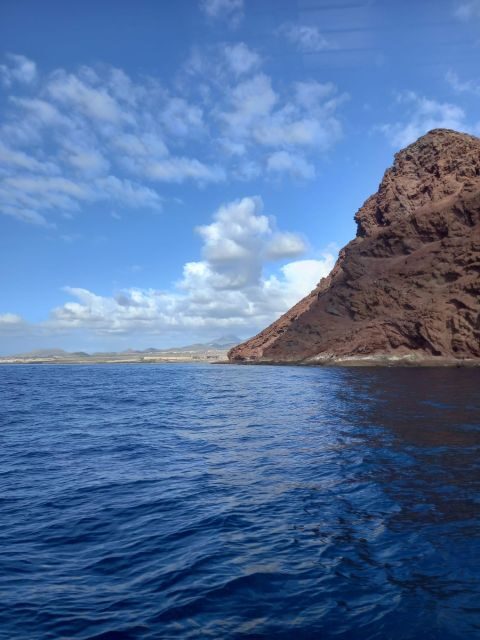 Tenerife south: safari with luxury boat , animals encounters - Price and Value Analysis