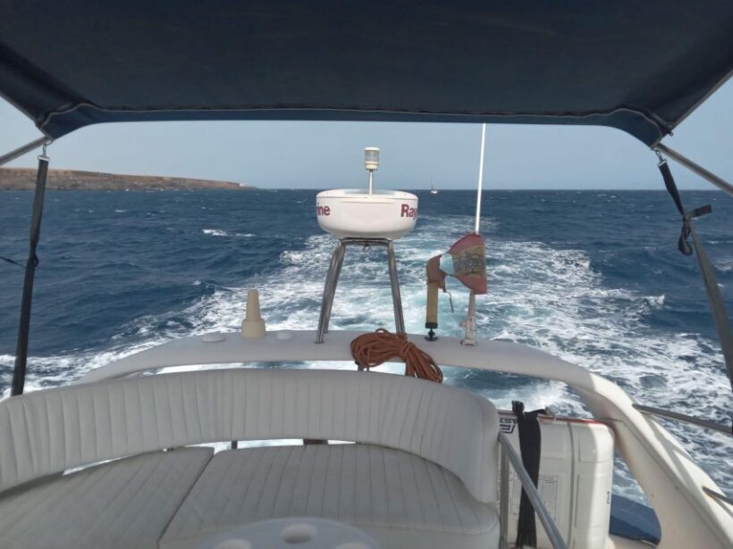 Tenerife south: safari with luxury boat , animals encounters - Who Will Enjoy This Tour?