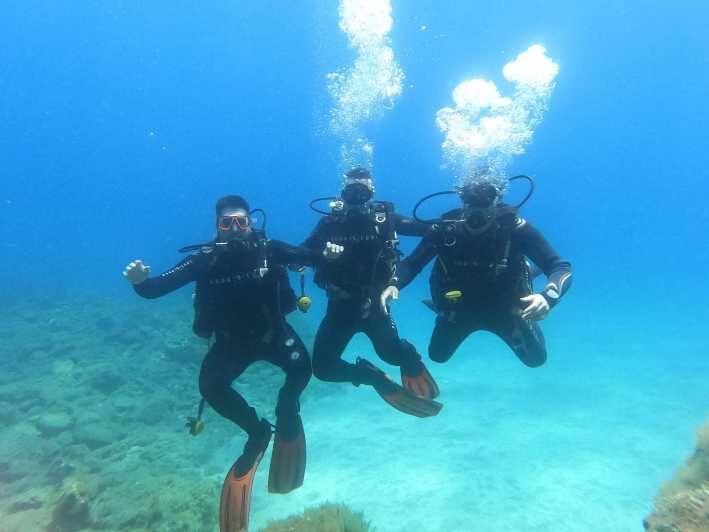 Tenerife south: Scuba Dive for beginners in Adeje - Key Points