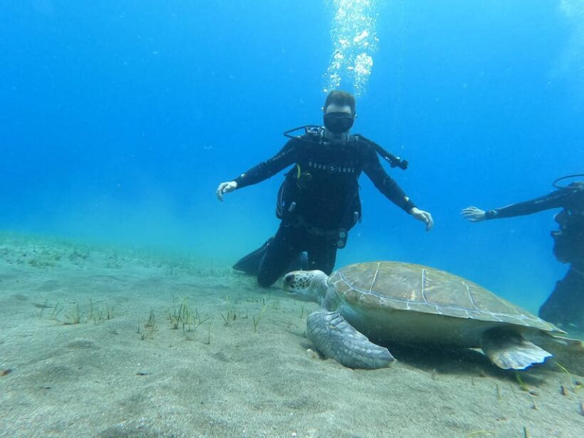 Tenerife south: Scuba Dive for beginners in Adeje - An In-Depth Look at the Tenerife South Scuba Experience