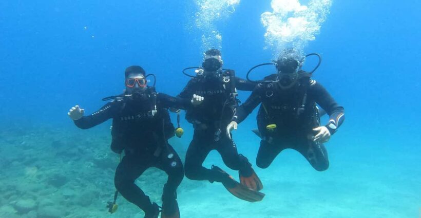 Tenerife south: Scuba Dive for beginners in Adeje - The Sum Up