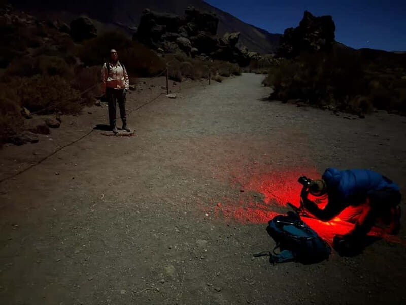 Tenerife: Stargazing Walk in Teide National Park - In-Depth Review of the Experience