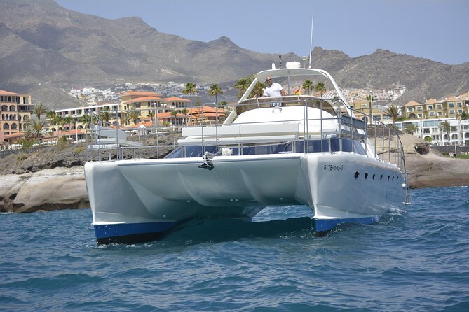 Tenerife Sunset Catamaran Tour With Transfer - Food and Drinks Included. - Additional Information