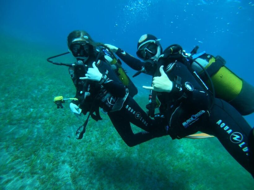 Tenerife sur: Buceo para principiantes en Adeje - An Honest Look at Tenerife’s Introductory Diving Tour
