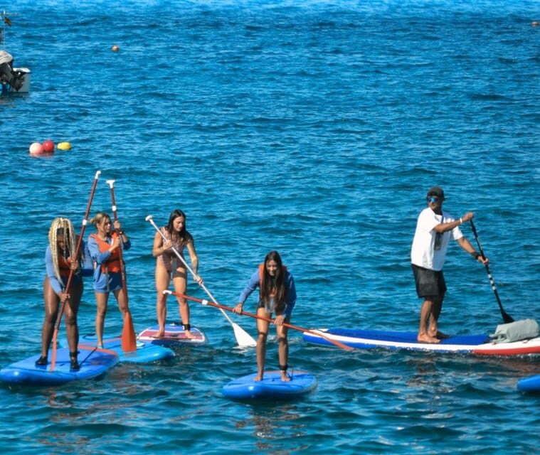 TENERIFE SUR: Paddleboarding tour and SNORKEL - Who Will Appreciate This Experience?