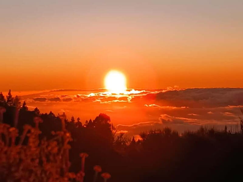 Tenerife: Teide, Masca, Garachico, and Sunset Exclusive Tour - What Reviews Tell Us