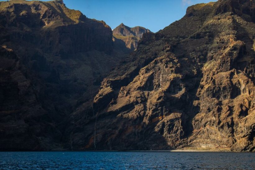 Tenerife: Teide National Park and Dolphins Sailboat Tour - Practical Aspects and Comfort