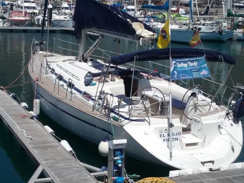 Tenerife: Teide National Park and Dolphins Sailboat Tour - What Makes This Tour Stand Out?
