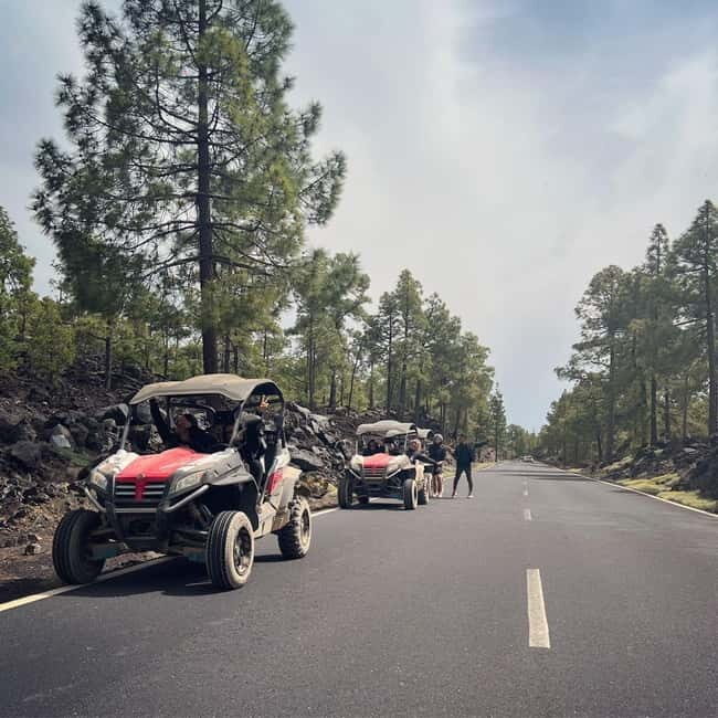 Tenerife: Teide National Park and Volcano Buggy Tour - What Makes This Tour Special?
