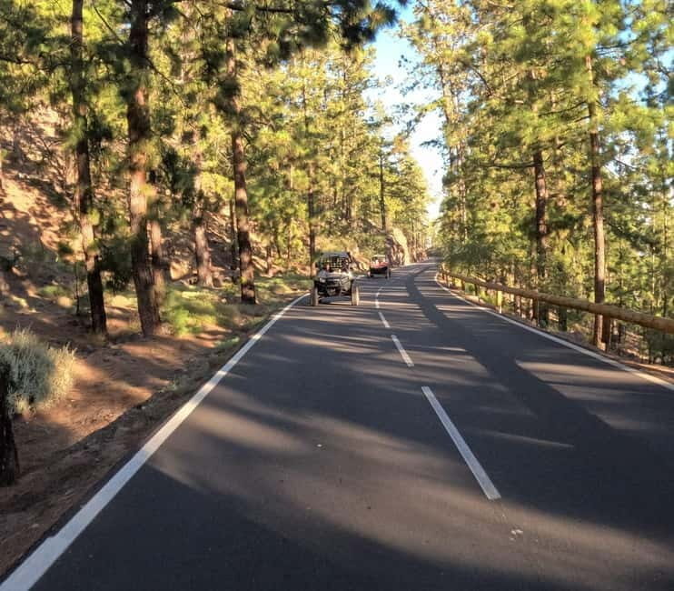 Tenerife: Teide National Park and Volcano Buggy Tour - What to Expect and Practicalities