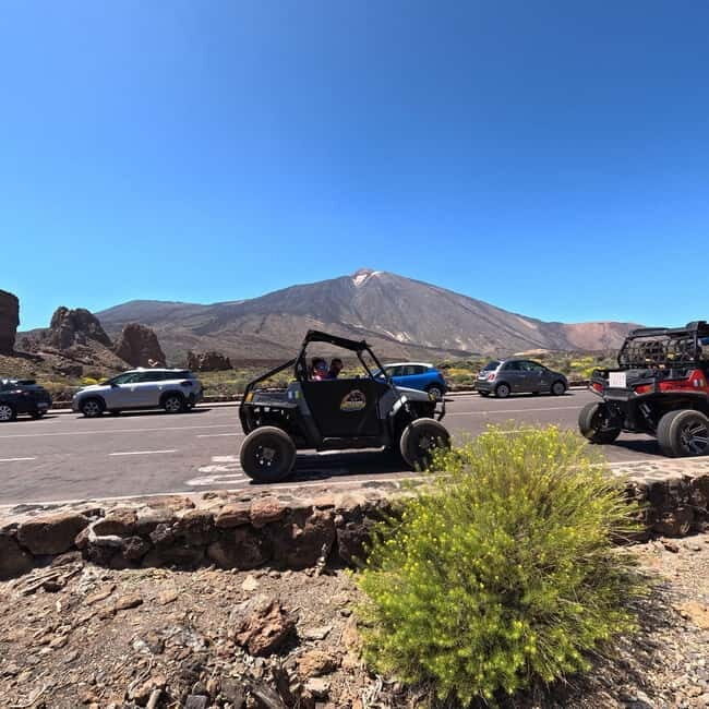 Tenerife: Teide National Park and Volcano Buggy Tour - Who Is This Tour Best For?