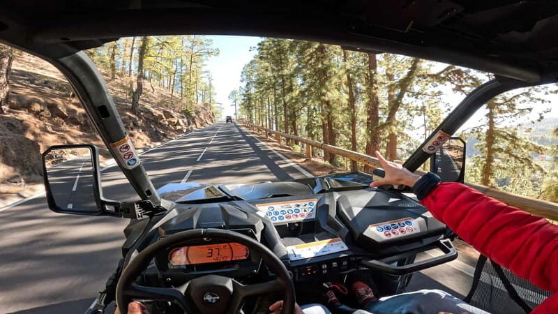 Tenerife: Teide National Park Guided Buggy Tour - The Sum Up