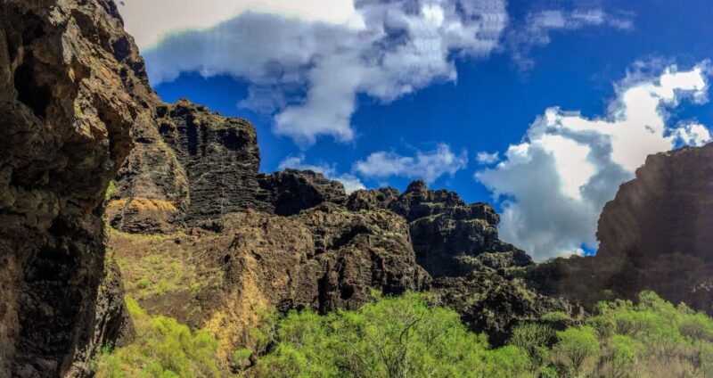 Tenerife: Teide National Park & Teno Rural Park Private Tour - Practical Details and What to Expect