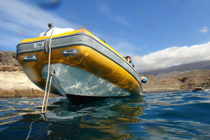 Tenerife Turtle and Snorkel Tour From Costa Adeje - Booking and Cancellation Policy