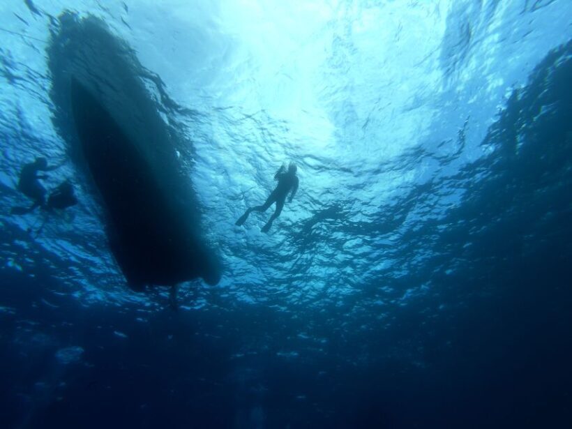 Tenerife: Underwater Lava Tongues Snorkel Excursion - The Experience: What Travelers Can Expect