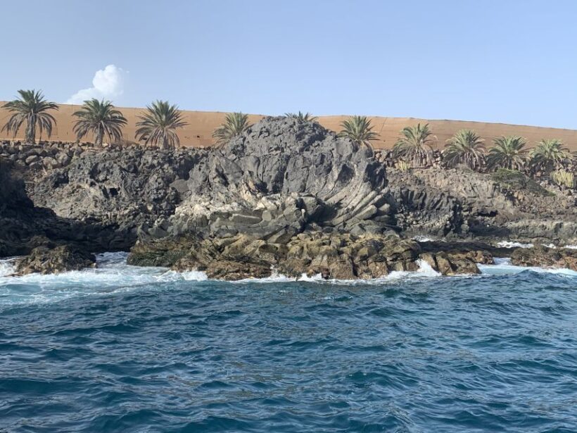 Tenerife: Underwater Lava Tongues Snorkel Excursion - Why This Tour Offers Great Value