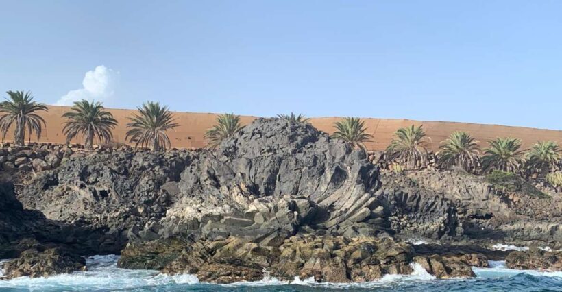 Tenerife: Underwater Lava Tongues Snorkel Excursion - Who Should Consider This Tour?