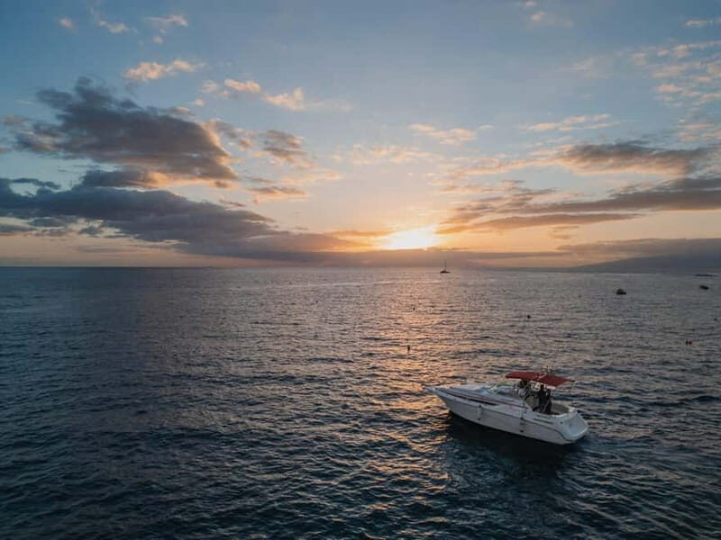Tenerife: VIP 3 hour Private Luxury Boat Charter Experience - What’s Included and What You Should Know