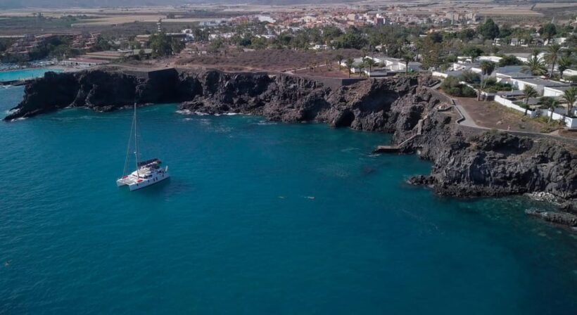 Tenerife: Whale and Dolphin Watching Boat Tour - Key Points