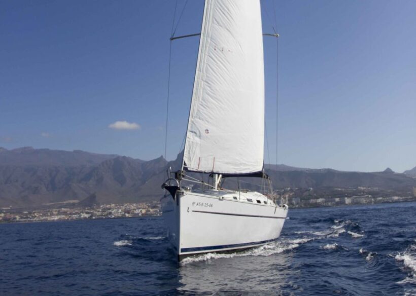 Tenerife: Whale and Dolphin Watching Tour by Sailboat - Tenerife: Whale and Dolphin Watching Tour by Sailboat – A Genuine Look
