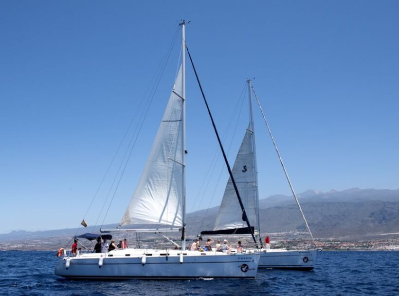 Tenerife: Whale and Dolphin Watching Tour by Sailboat - Who Will Love This Tour?