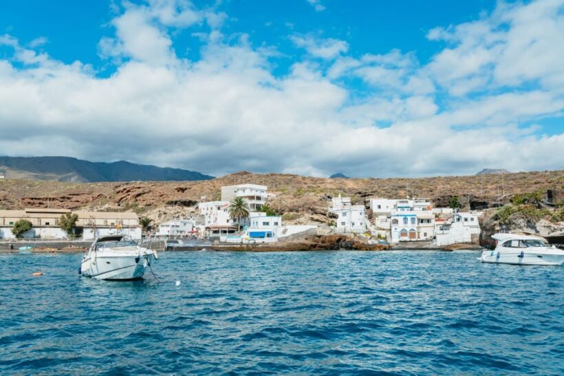 Tenerife: Whale & Dolphin Watching with Drinks and Snacks - Final Thoughts