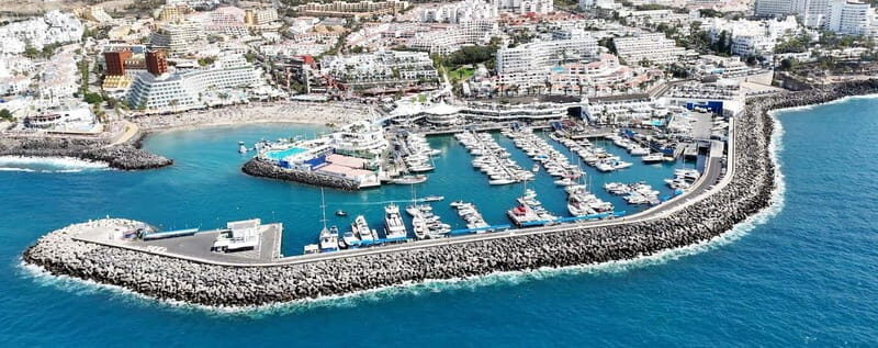 Tenerife Whale Watching and Snorkeling Yacht Trip - Authentic Experiences and Real Feedback