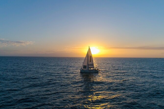 Tenerife Whale Watching and Snorkeling Yacht Trip - Guest Experiences and Reviews