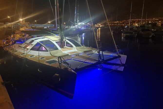 Tenerife Whale Watching on Private Charter - Highlights of the Private Whale Watching Tour