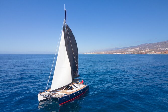 Tenerife Whale Watching on Private Charter - Accessibility and Participation Requirements