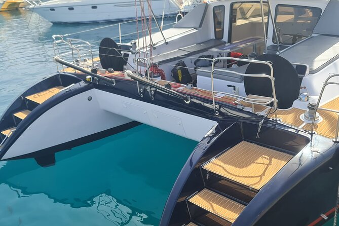 Tenerife Whale Watching on Private Charter - What to Expect on the Private Whale Watching Adventure