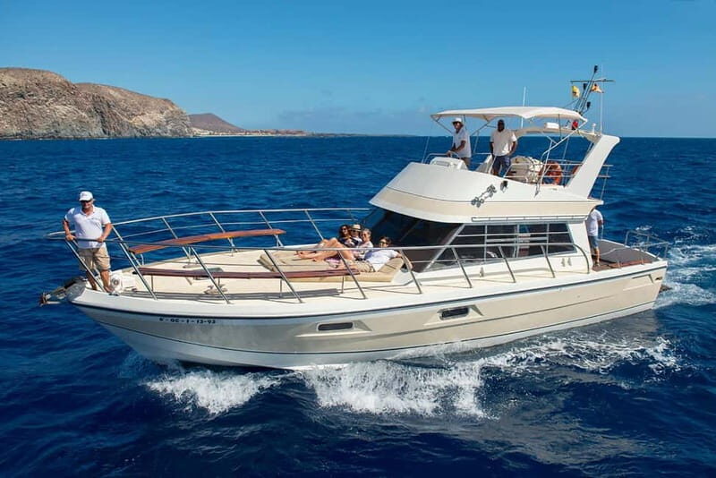 Tenerife: Whale watching tour with swim and lunch on yacht for 22 passengers - Tenerife: Whale watching tour with swim and lunch on yacht for 22 passengers