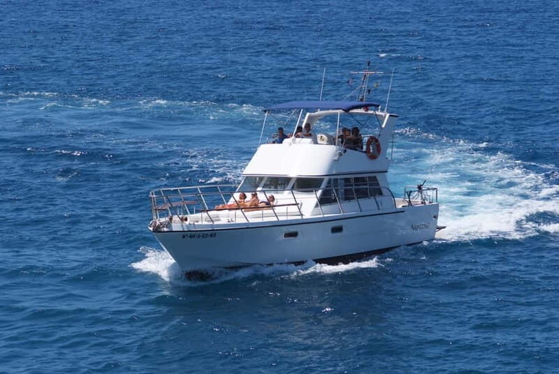 Tenerife: Whale watching tour with swim and lunch on yacht for 22 passengers - In The Sum Up