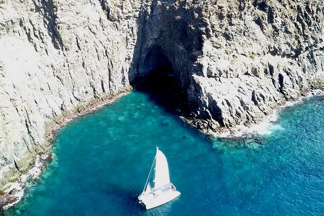 Tenerife Whales and Dolphins Watching Experience in Catamaran - The Sum Up