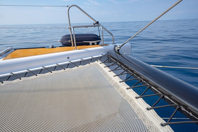 Tenerife Whales and Dolphins Watching Experience in Catamaran - FAQs