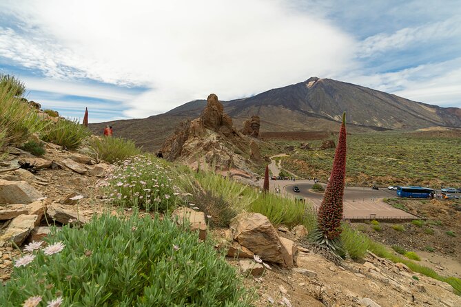 Tenerife Wonder Walk - Key Points