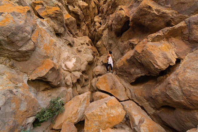 Tenerife Wonder Walk - Recommendations for Your Adventure