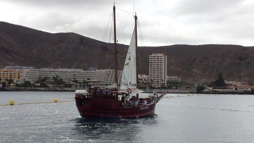 Tenerife:Respectful Whale Watching, Pirate Ship, & Swim - Key Points: