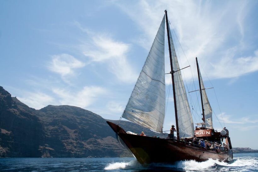 Tenerife:Respectful Whale Watching, Pirate Ship, & Swim - The Experience and Why It Matters