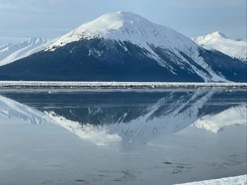 Tent city Anchorage and wonderful surroundings 3 hrs tour - Authentic Experiences & Reviews