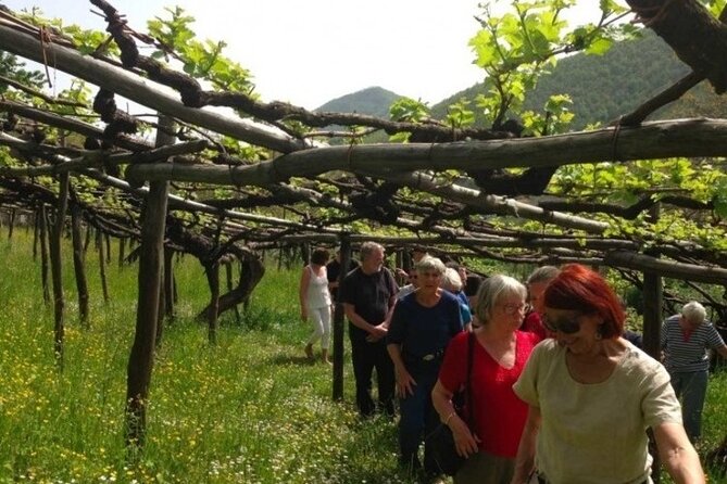 Tenuta San Francesco Wine Tasting - What to Expect During Your Visit