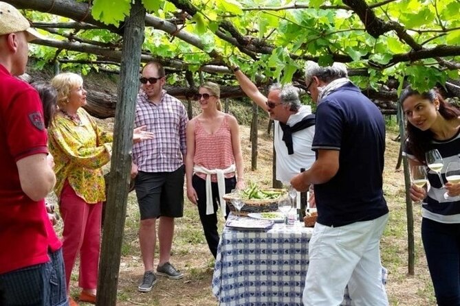 Tenuta San Francesco Wine Tasting - The Unique Features of Tenuta San Francesco