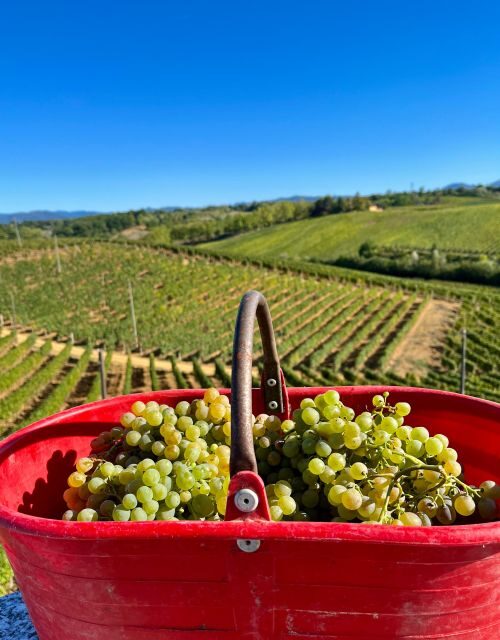 Tenuta San Lorenzo: classic wine tasting and winery tour - The Sum Up