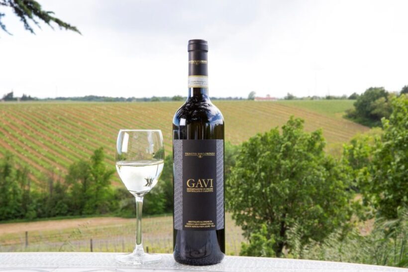 Tenuta San Lorenzo: wine tasting and winery tour - Key Points