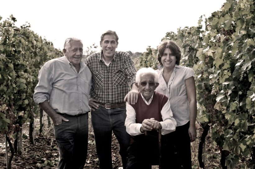 Tenuta San Lorenzo: wine tasting and winery tour - The Sum Up