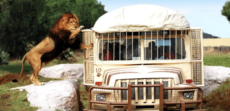 Teotihuacan: Entrance to Animal Kingdom Park; Adventure & Nature - What Is Reino Animal’s Teotihuacan Entrance Tour?